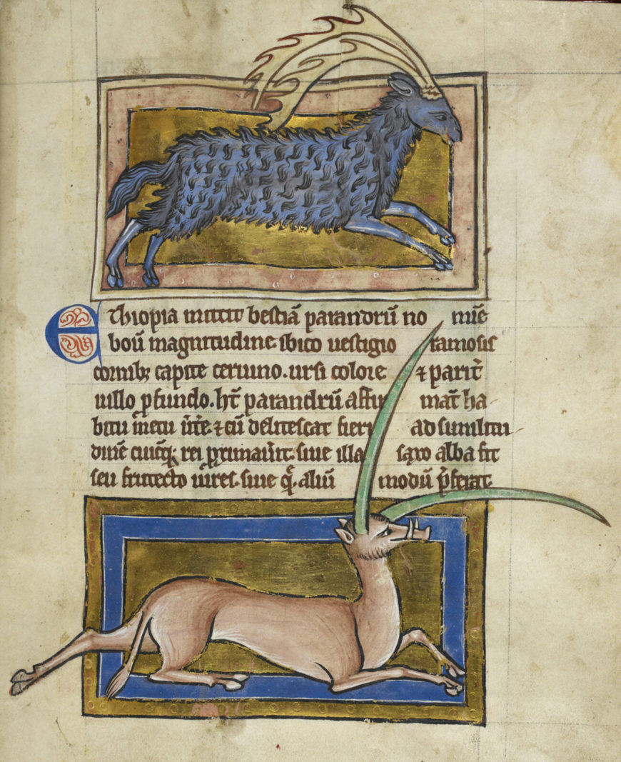 An Introduction to the Bestiary, a Book of Beasts in the Medieval World ...