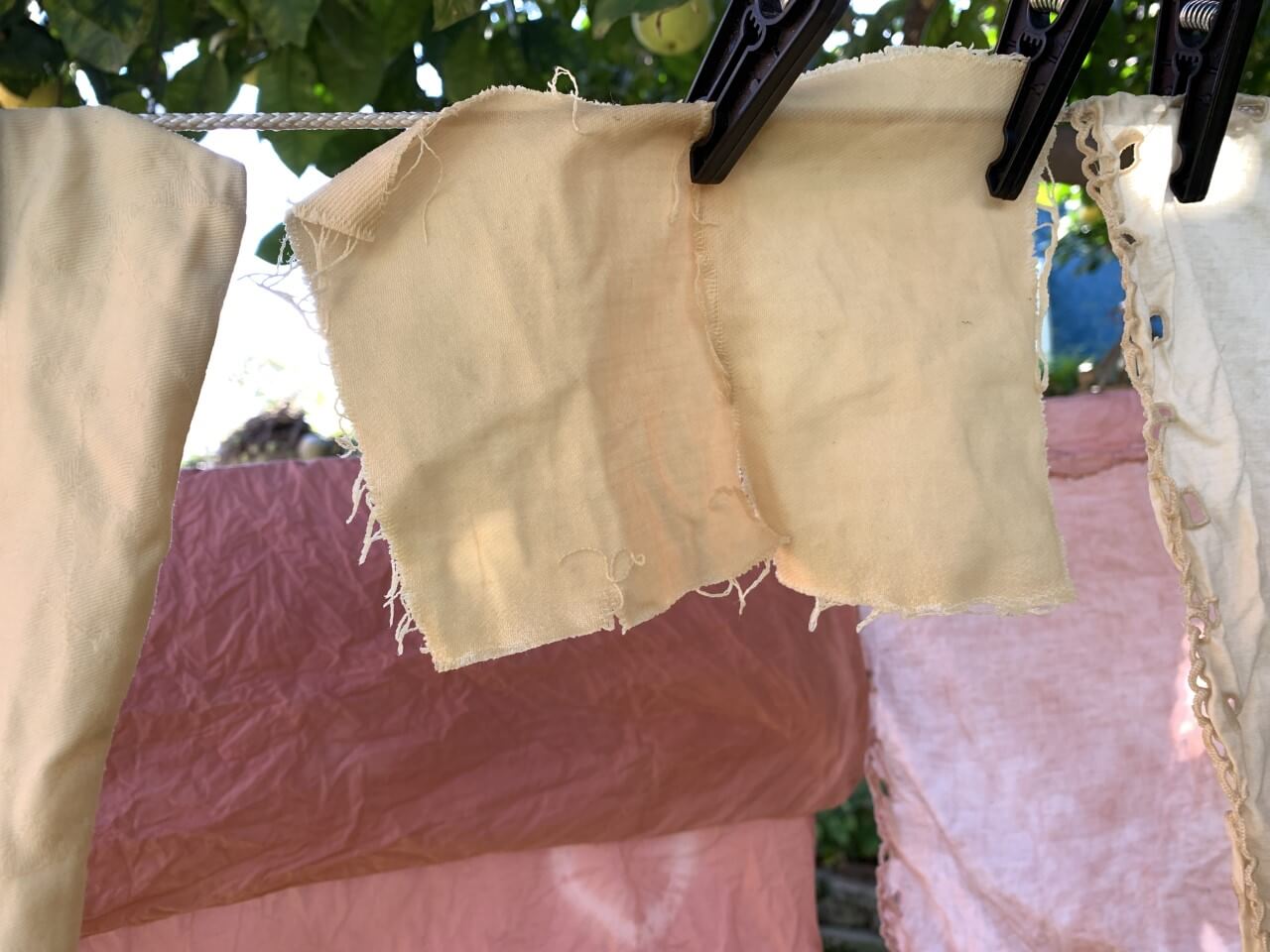 Experimenting with Natural Dyes to Learn More about Ancient Life ...