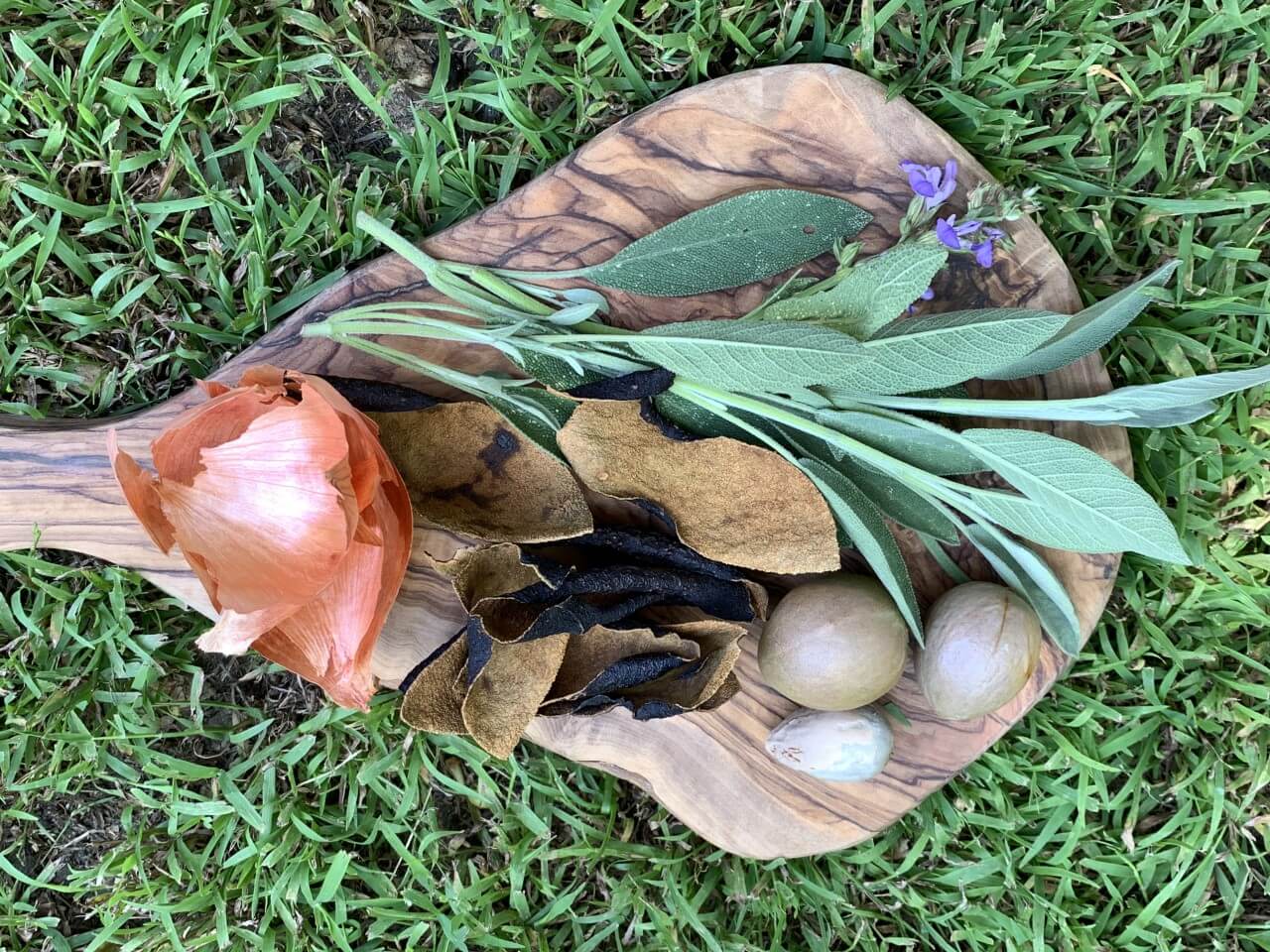 Experimenting with Natural Dyes to Learn More about Ancient Life ...