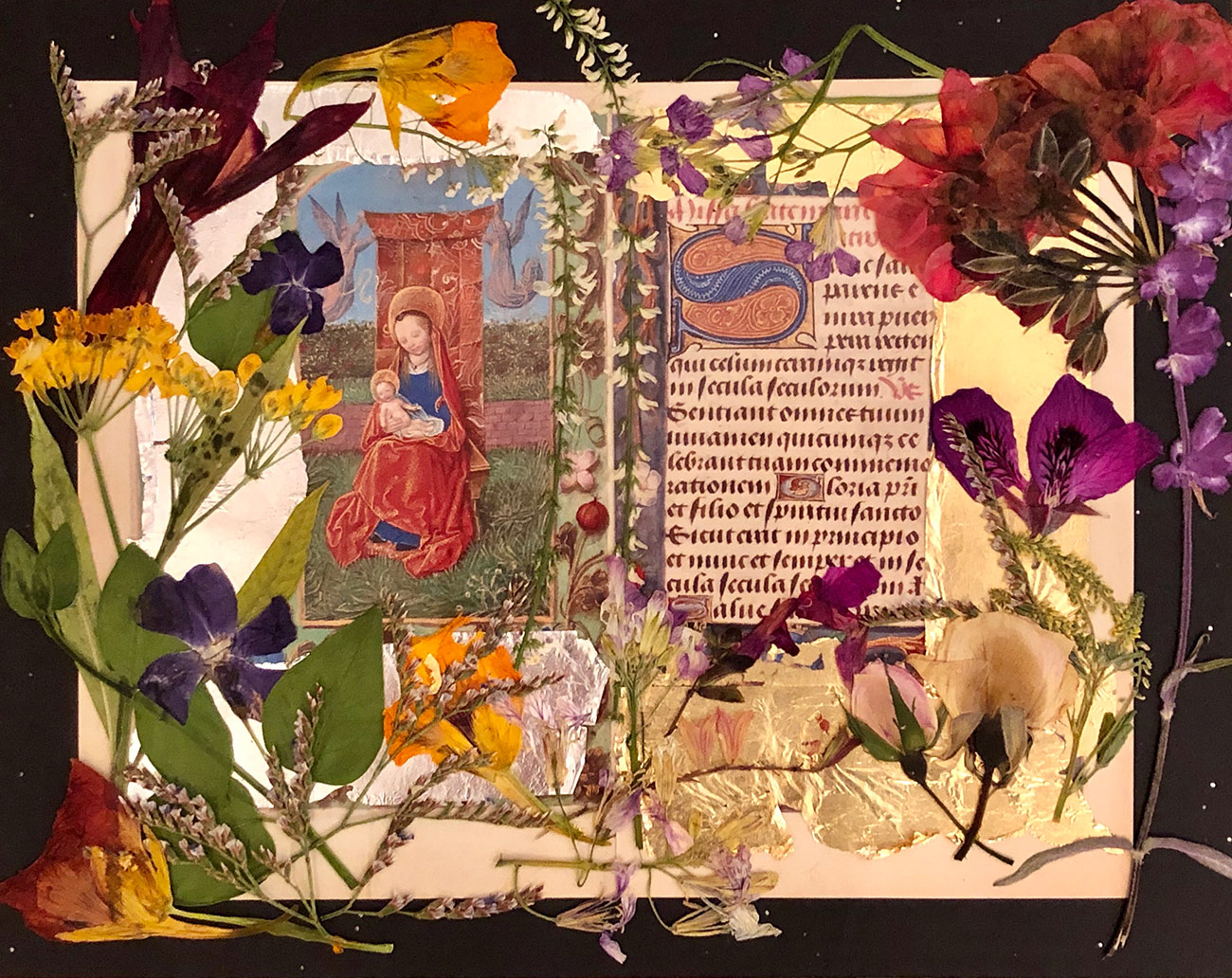 Illuminating the Natural World in Medieval Manuscripts Brewminate: A ...
