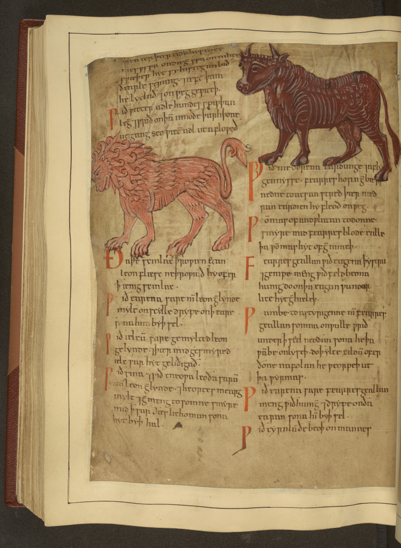 Medieval Cures for Lung Disease, Gout, and Vertigo Brewminate: A Bold ...