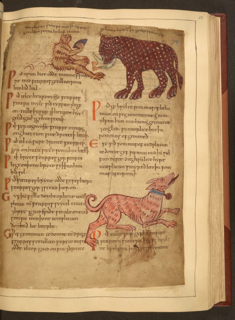 Medieval Cures for Lung Disease, Gout, and Vertigo Brewminate: A Bold ...