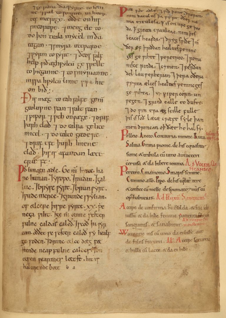 Medieval Cures for Lung Disease, Gout, and Vertigo Brewminate: A Bold ...