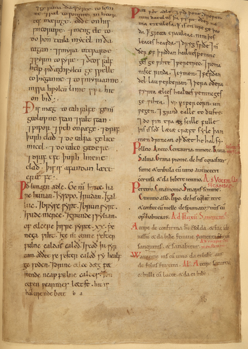 Medieval Cures for Lung Disease, Gout, and Vertigo Brewminate: A Bold ...