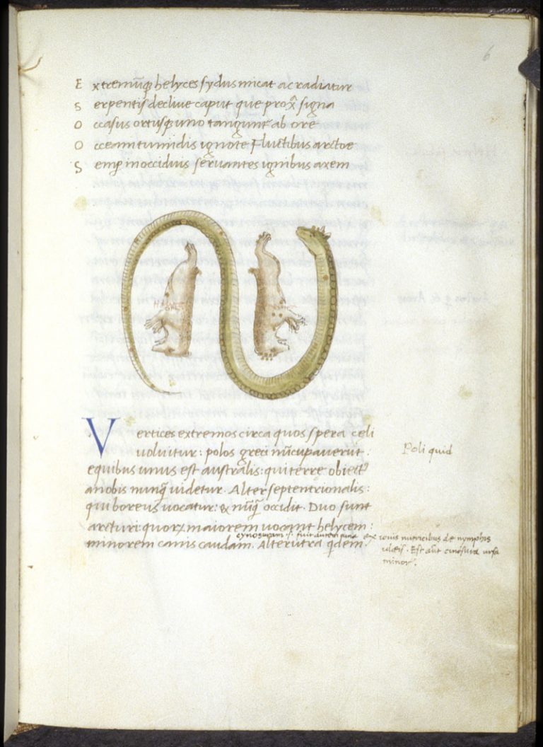 Art and Science in Renaissance Italy Brewminate: A Bold Blend of News ...