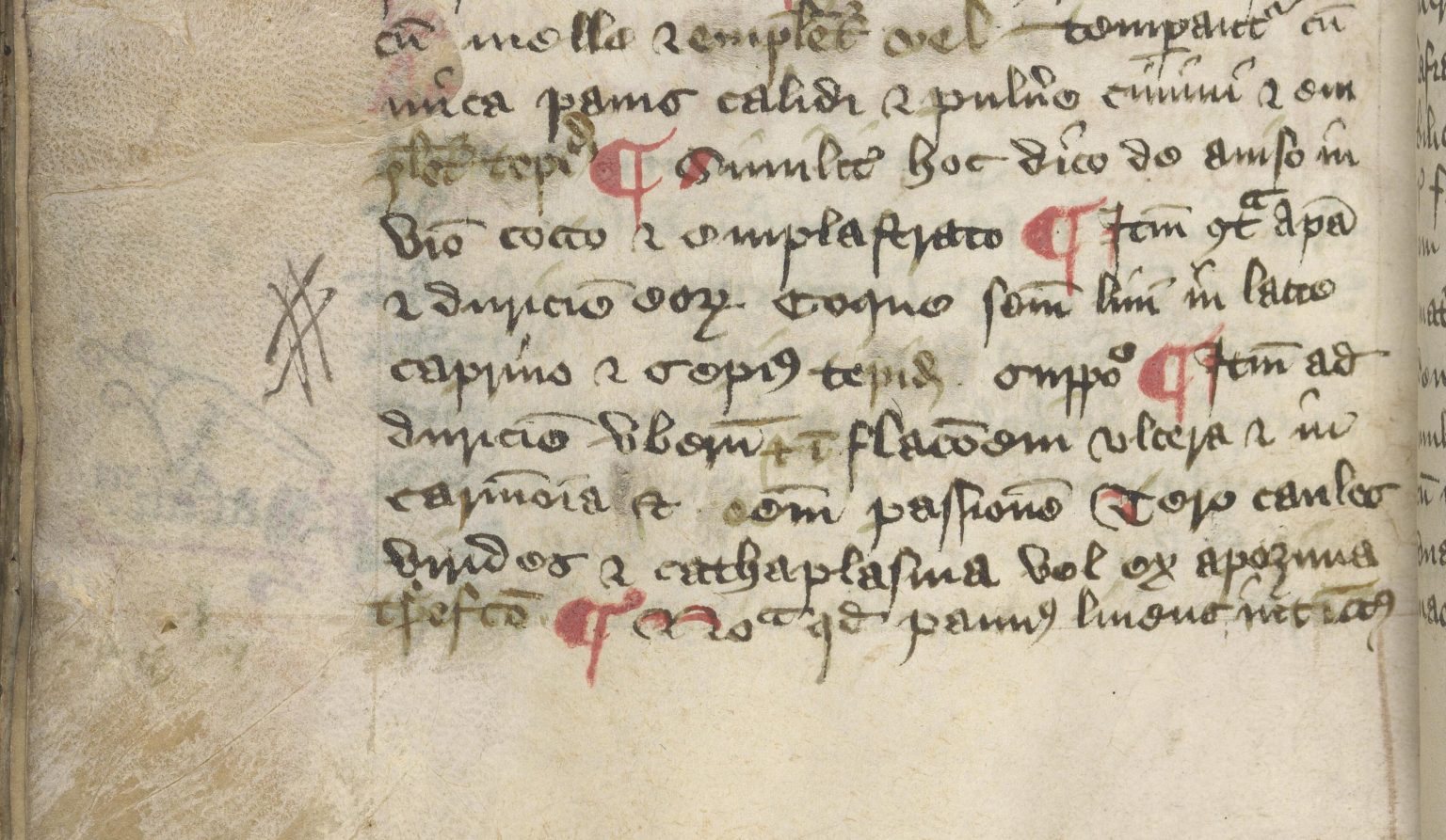 Hands, Holes, and Hashtags: Exploring a Medieval Medical Manuscript ...