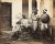 A History of the Caste System in Ancient, Medieval, and Modern India