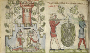 Making Wine in Medieval Europe Brewminate: A Bold Blend of News and Ideas