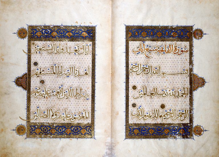 Addressing Arguments against Evolution