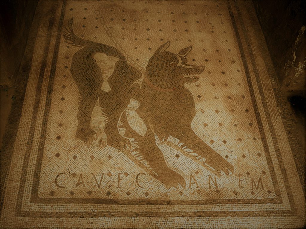Dogs and Their Collars in Ancient Rome