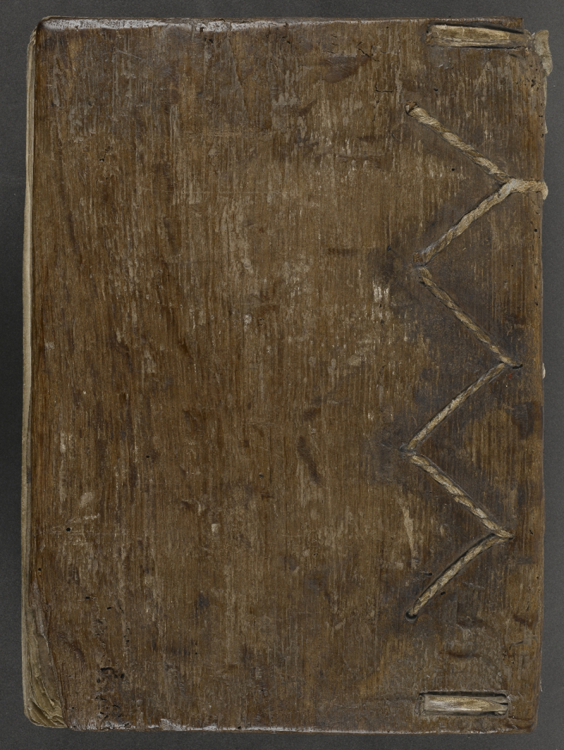 Medieval Bookbindings: From Precious Gems to Sealskin Brewminate: A ...
