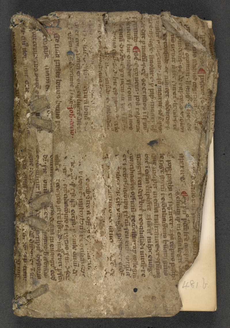 Medieval Bookbindings: From Precious Gems to Sealskin Brewminate: A ...