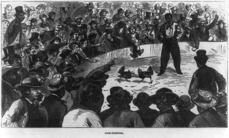 A History of Gambling in the United States Brewminate: A Bold Blend of ...