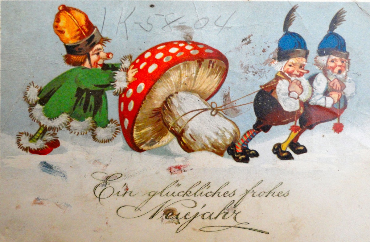 Fungi, Folklore, and Fairyland