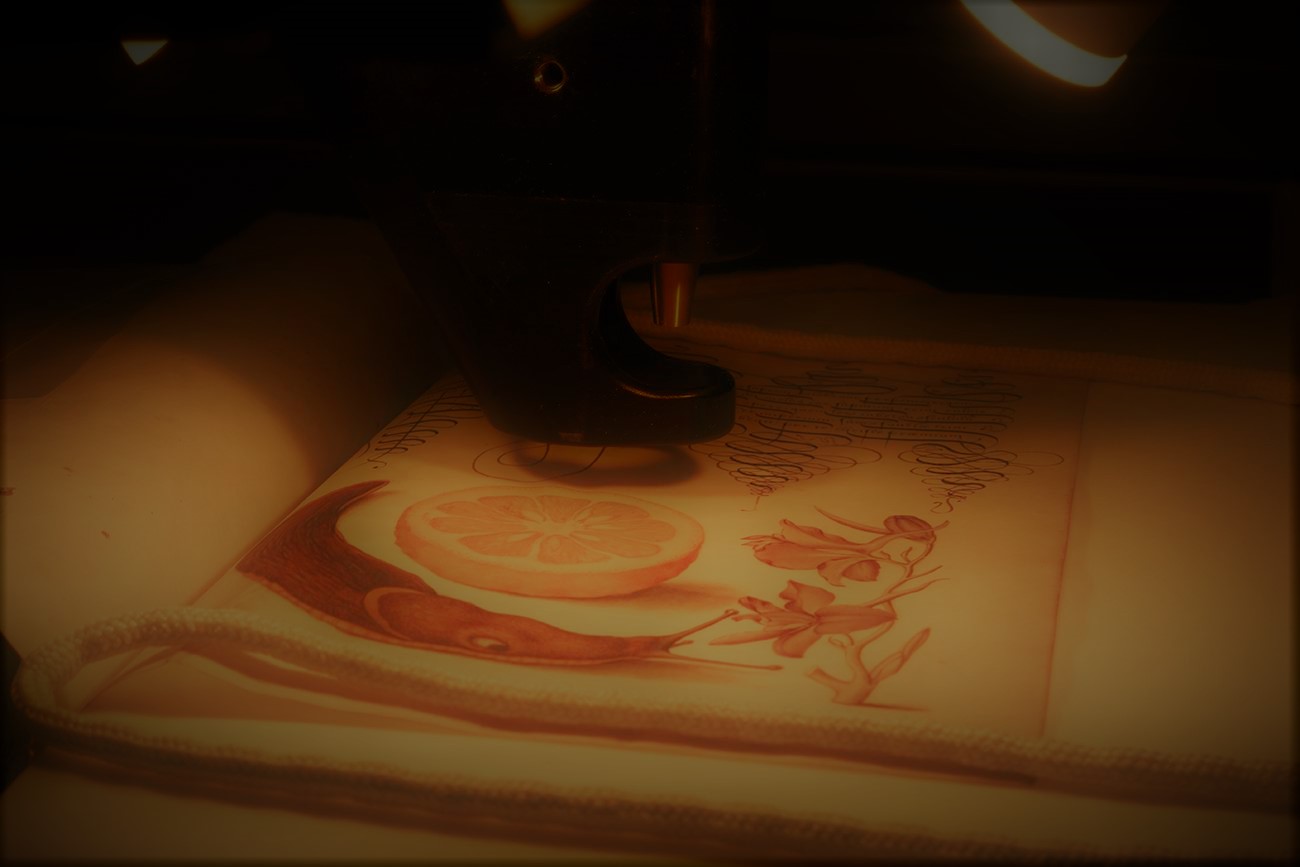 To Hold Nature in the Hand in an Early Modern Manuscript