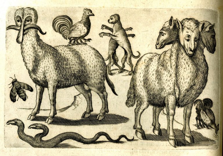 A History of Monsters, Marvels, and Mythical Beasts