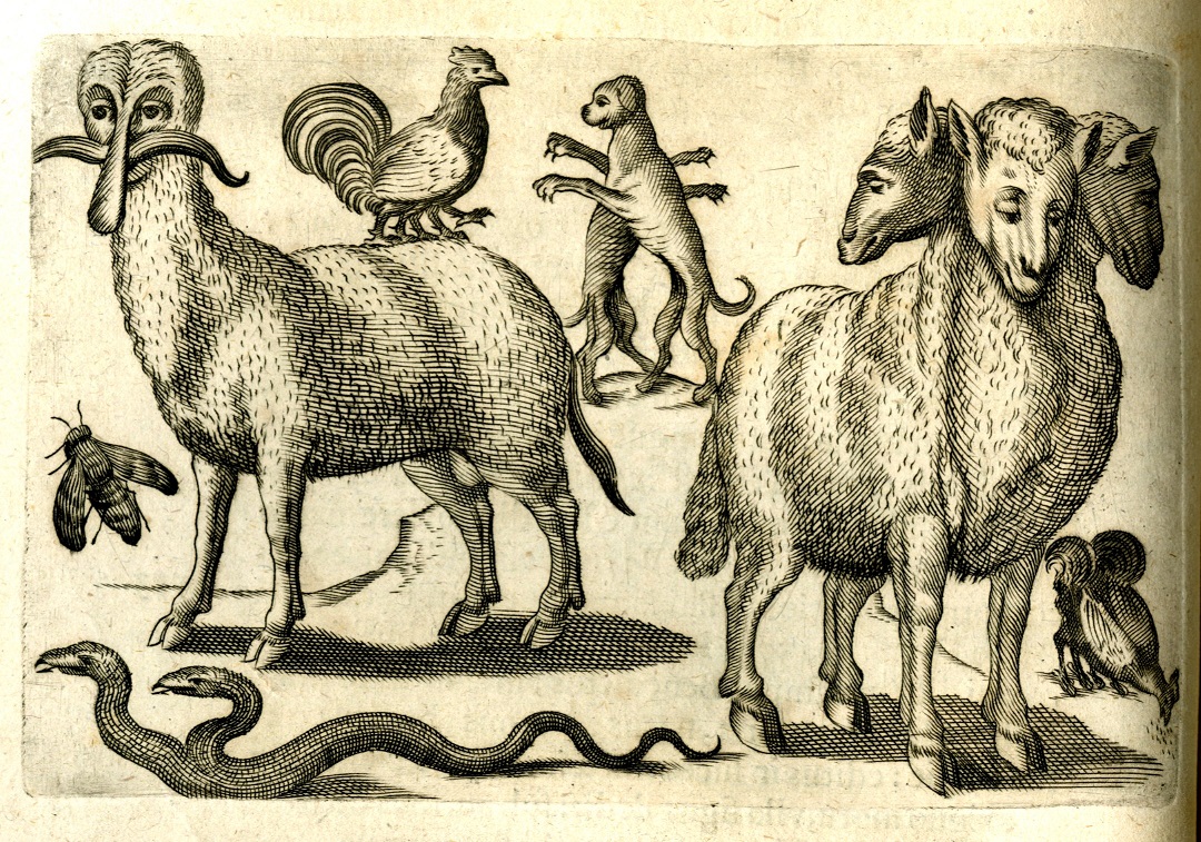 A History of Monsters, Marvels, and Mythical Beasts