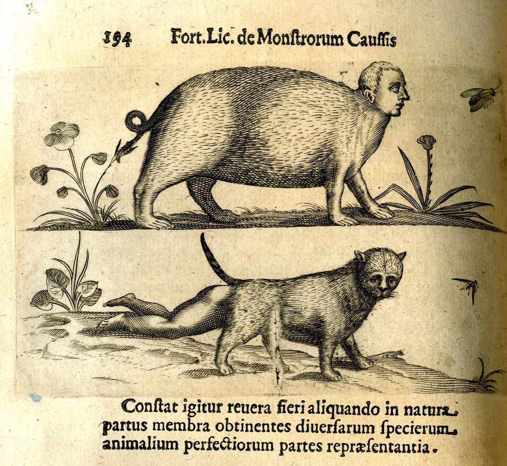 A History of Monsters, Marvels, and Mythical Beasts
