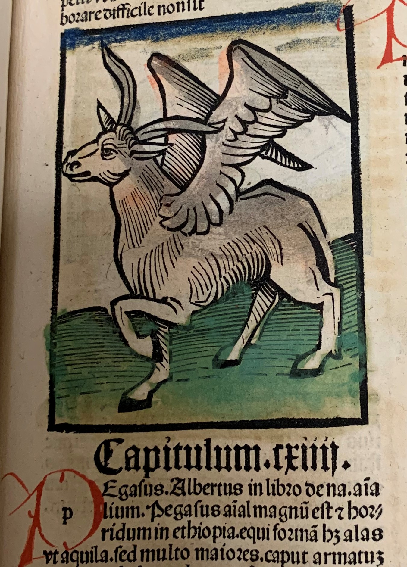 A History of Monsters, Marvels, and Mythical Beasts