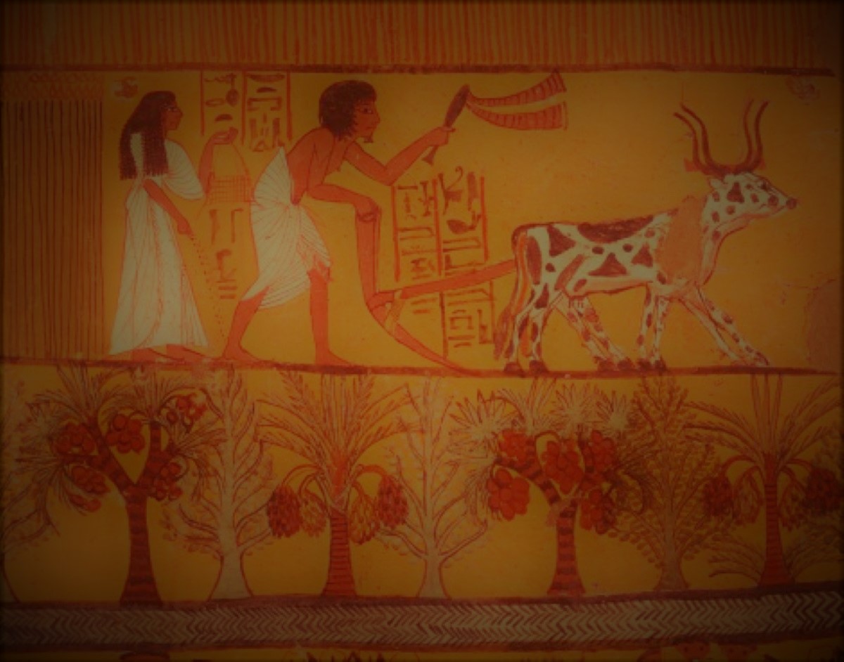 A Lesson in Resilience from Ancient Dates Brewminate: A Bold Blend of ...