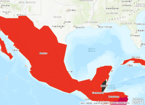 A History of Slavery in Colonial New Spain and Afro-Mexican Identity
