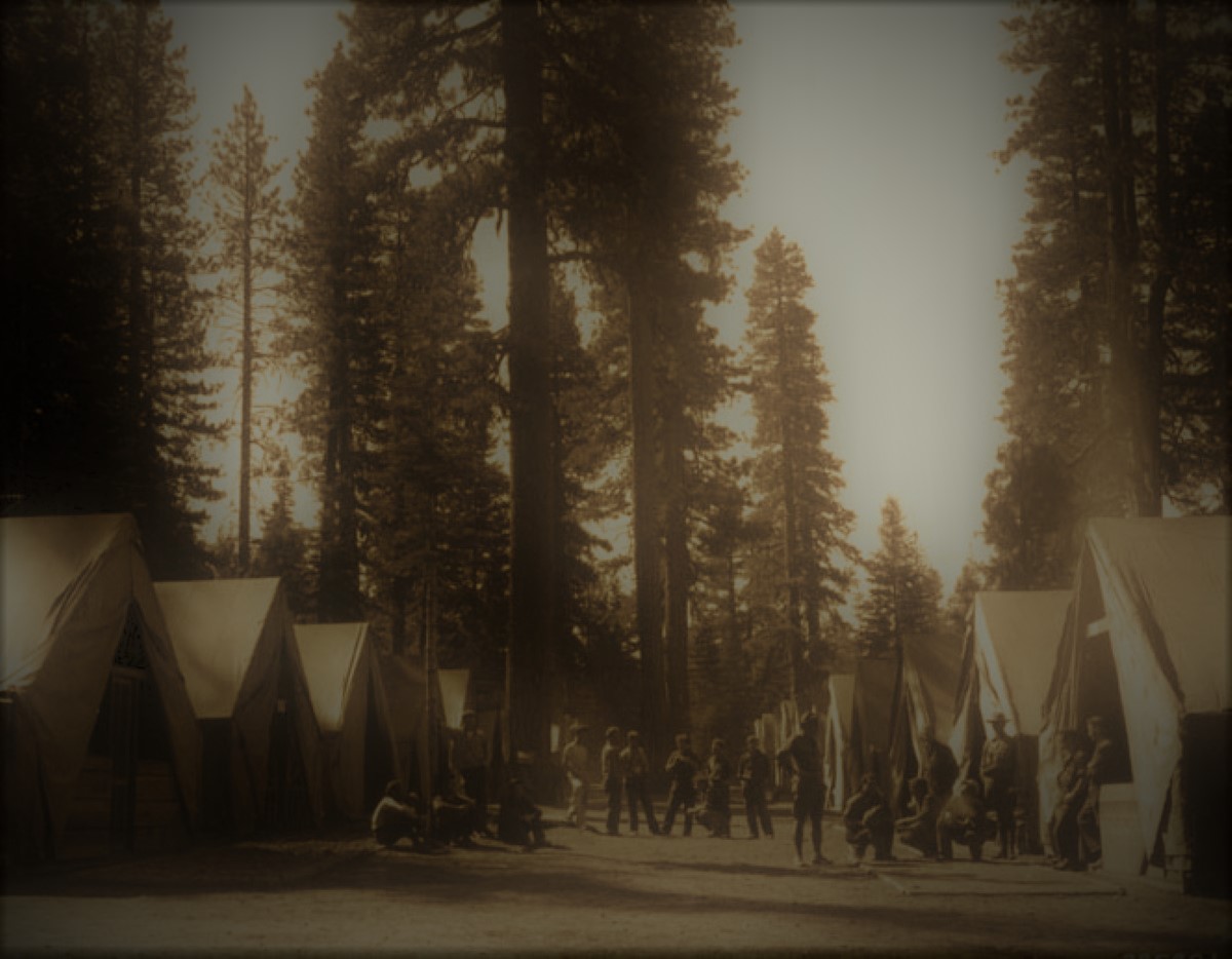 Into the Woods: The First Year of the Civilian Conservation Corps in 1933