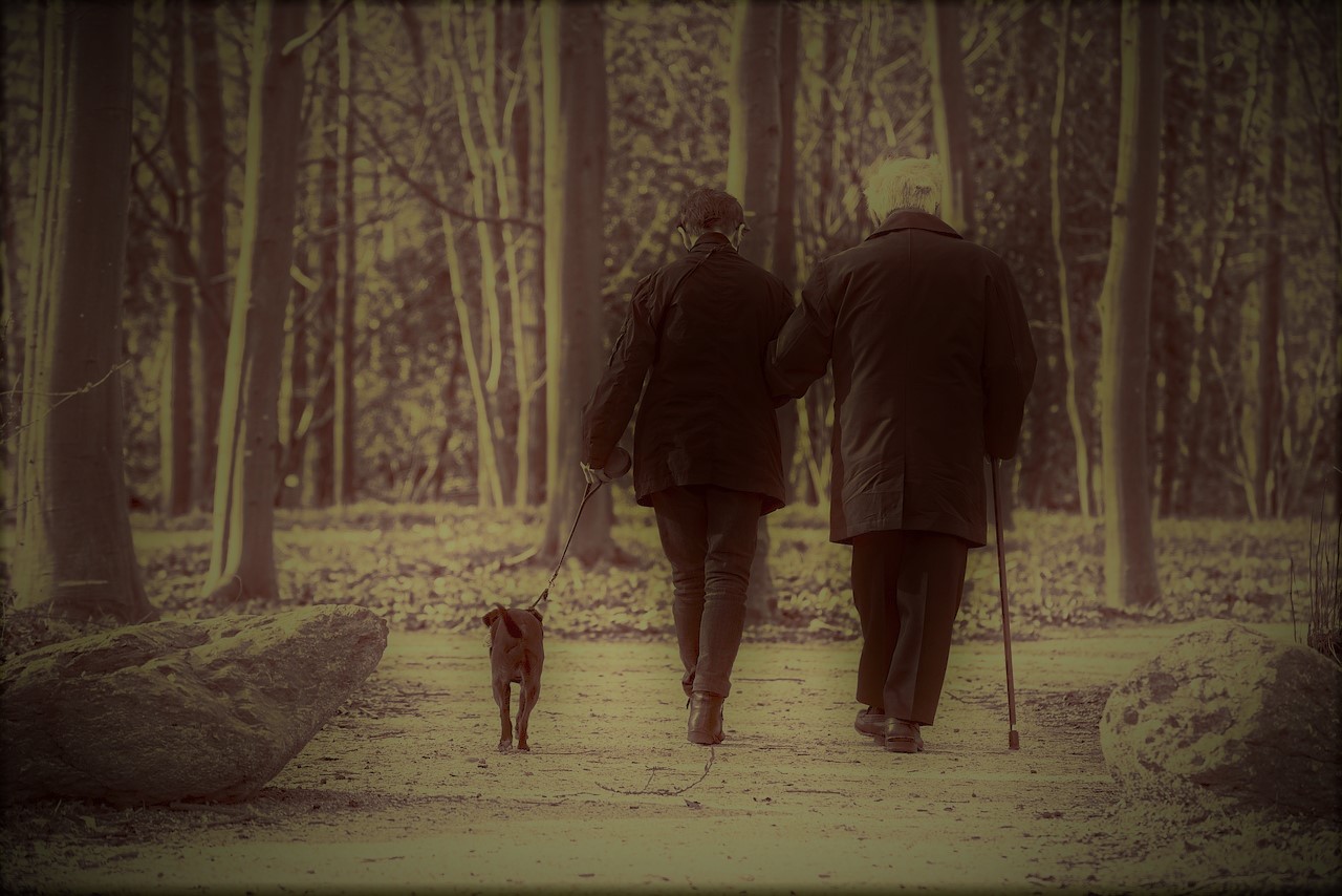 Things You Need to Know to Find Love Later in Life - Brewminate: A Bold ...
