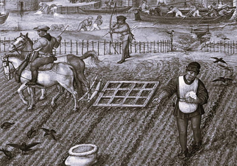 Rights and Responsibilities under Medieval Feudalism