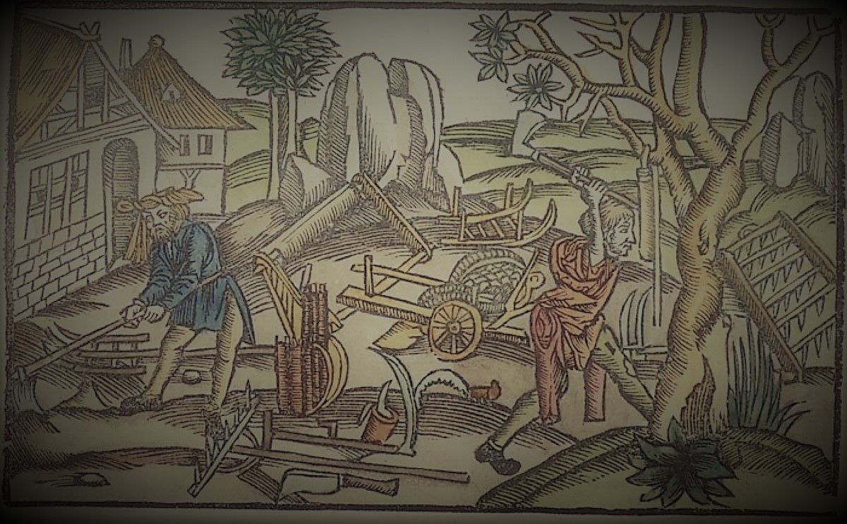 Medieval People in Town and Country: New Perspectives from Demography ...