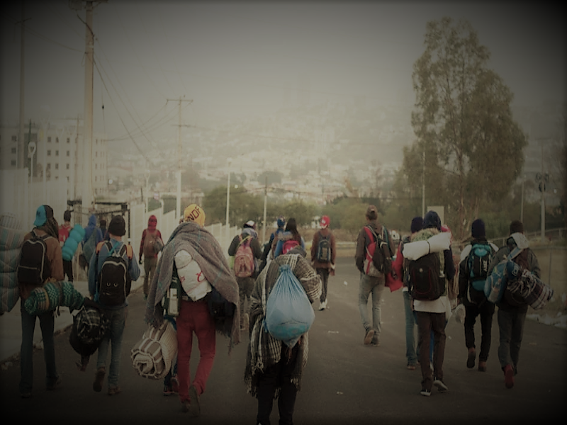 'Shelter from the Storm': Climate Change a Driving Force in Immigration ...