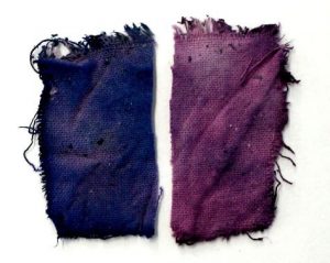 Researchers Follow a 15th-Century Recipe to Recreate Medieval Blue Ink ...