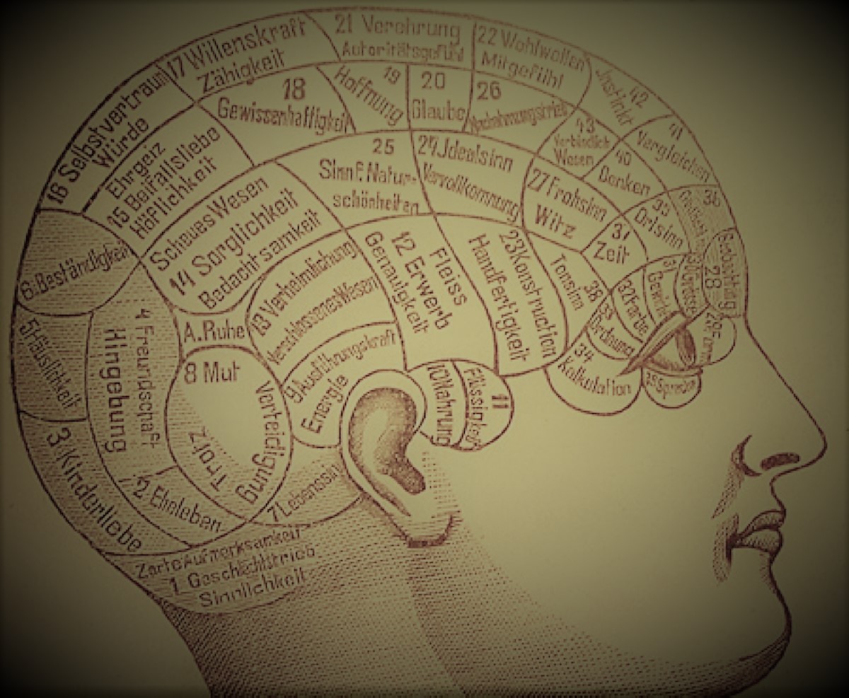 Philosophy of Mind: Lifelong Learning and Cognitive Development ...