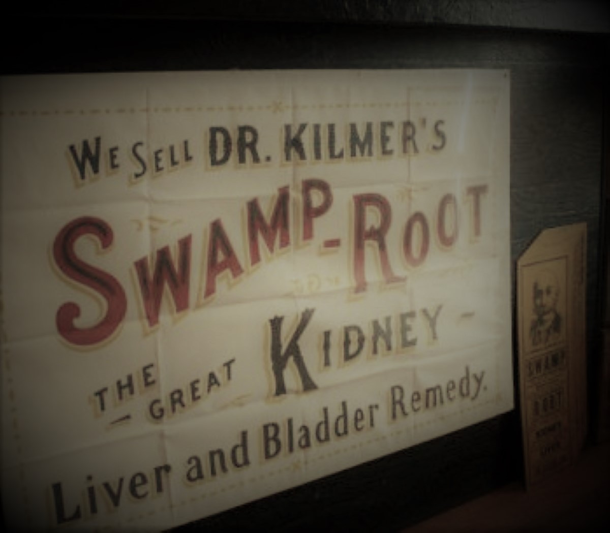 Dr. Kilmer's Swamp-Root Cure-All in the 19th Century Brewminate: A Bold ...