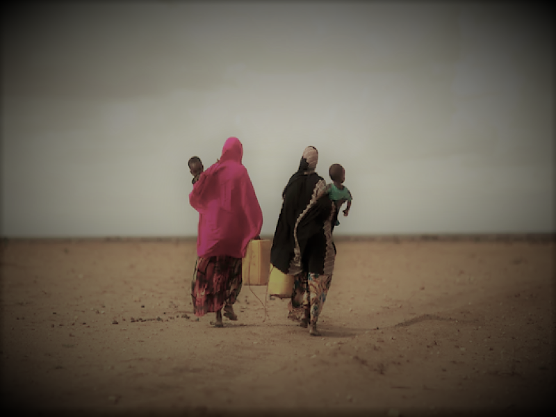 Climate Migrants and Adapting Laws