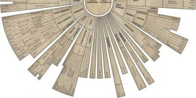 Proto-Languages: Ancestral Trees with Numerous Descendant Branches ...