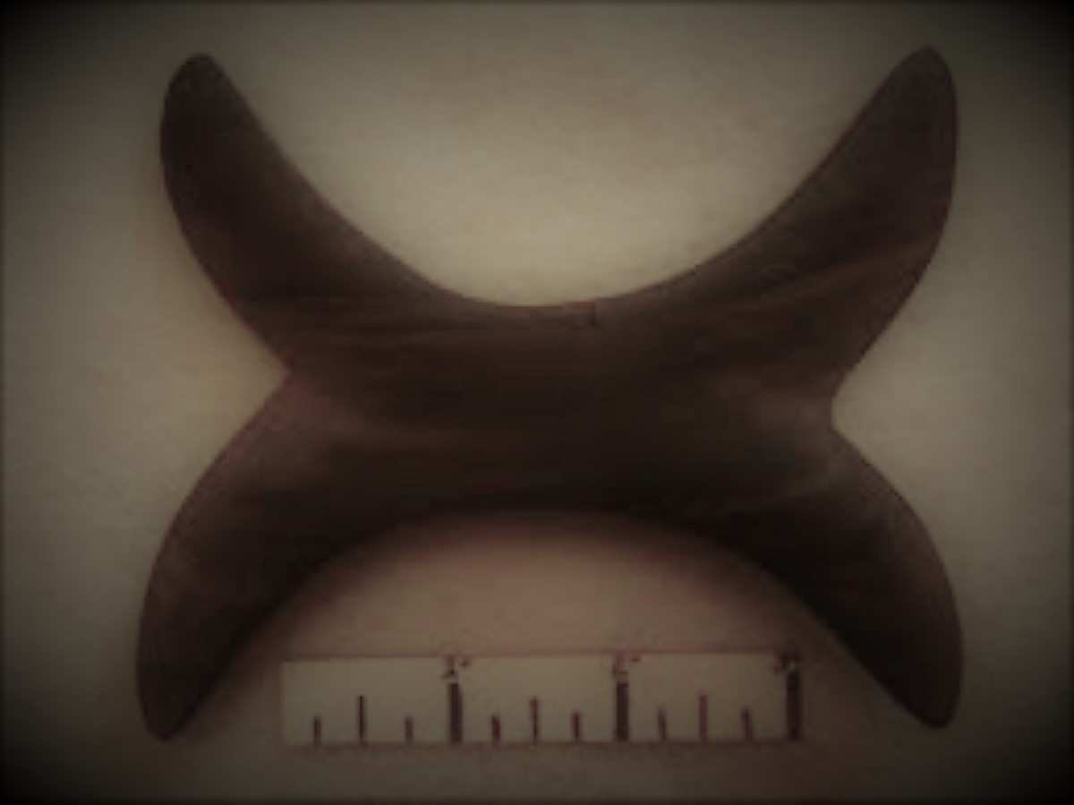 Types Of Bannerstones - Infoupdate.org