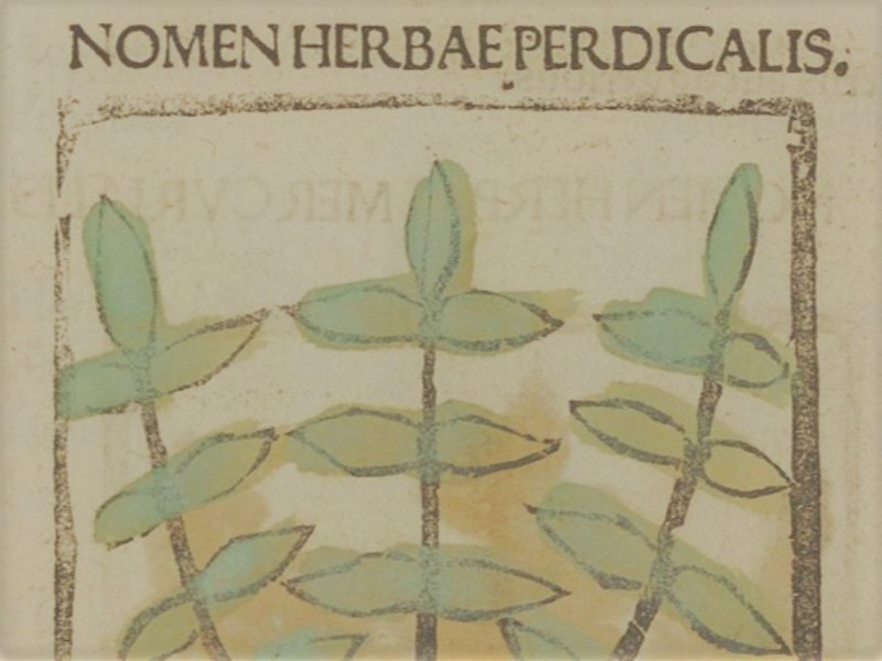 Medieval Pandemic Cures That Were…Medieval Brewminate: A Bold Blend of ...