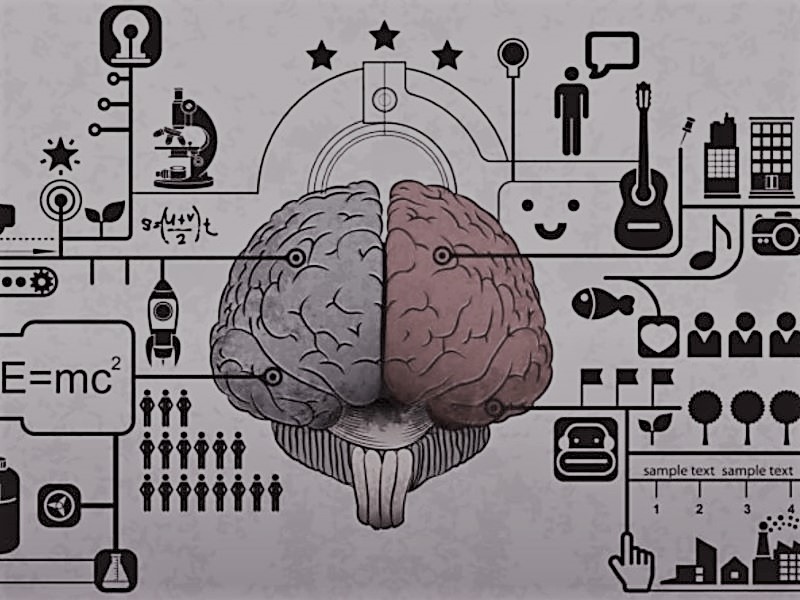 How to Train Your Brain and Sharpen Your Mind Brewminate: A Bold Blend ...