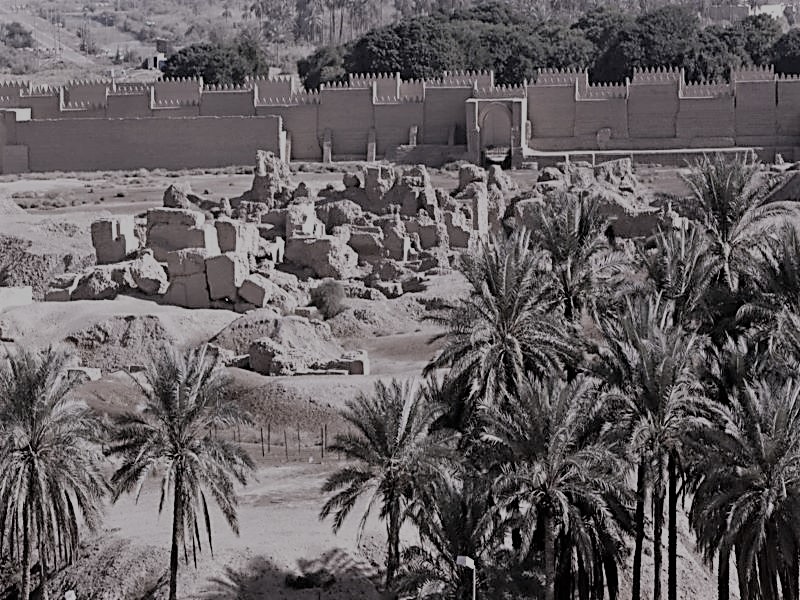 Medicinal Plants of the Ancient Holy Land