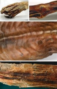Ancient Body Modification: Meaning, Ritual, and Identity