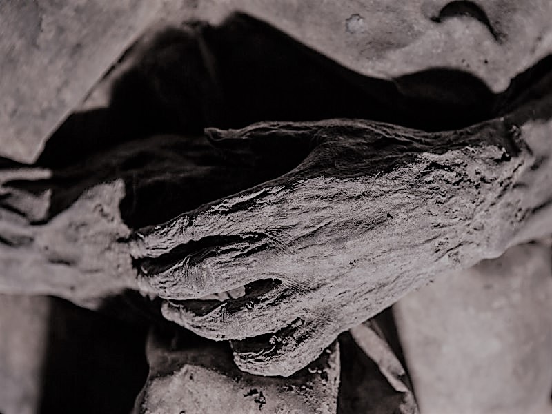 The Ancient Origins of Smallpox and Other Viruses