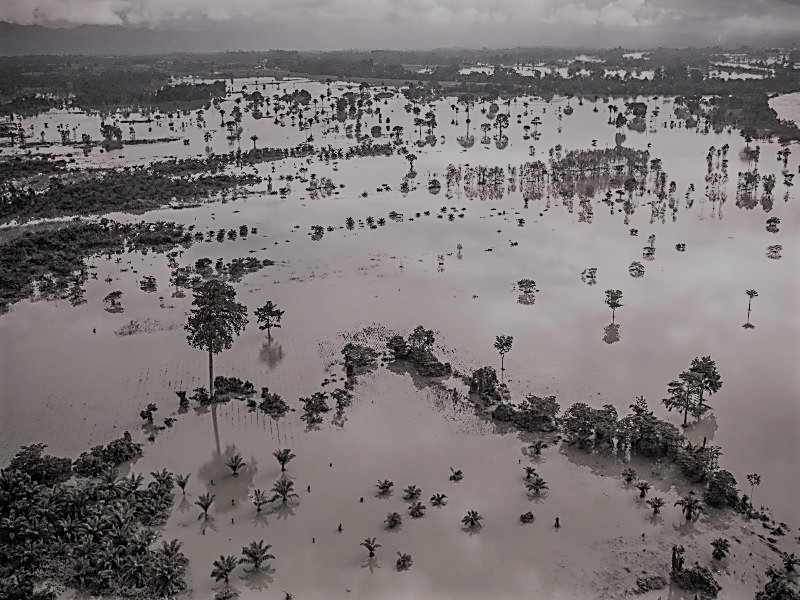New Documentary Explains Extreme Weather Emergency Brewminate: A Bold ...