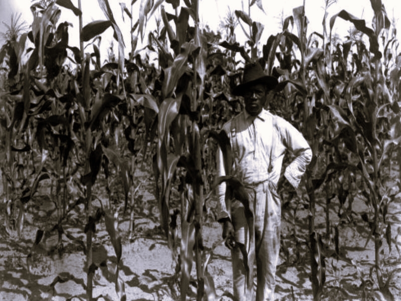 The Generational, Systemic Structure of Debilitating Black Land Loss in ...