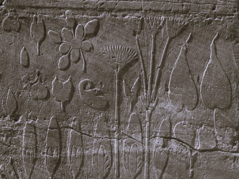 The Use of Opium and Cannabis in Ancient Near Eastern Rituals