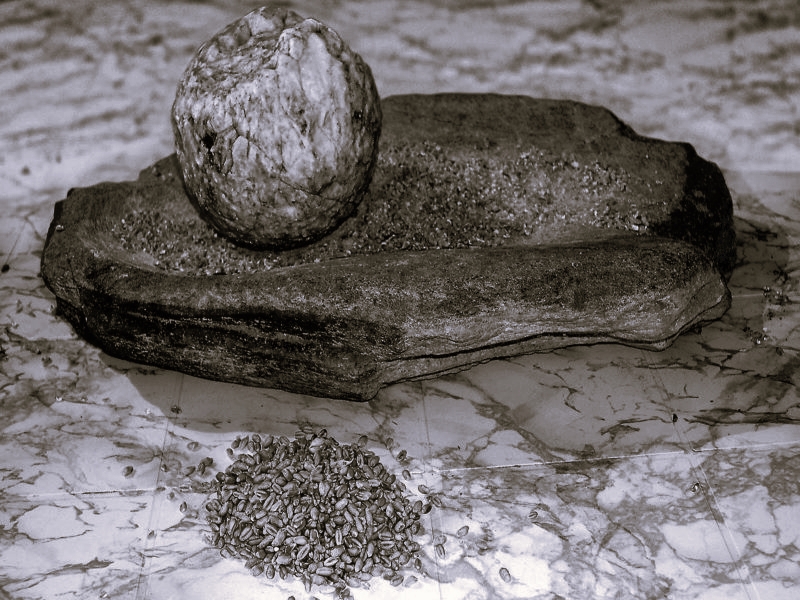 Dynamics of the Neolithic Agricultural Revolution