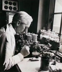 Guns, Not Roses: The True Story of Penicillin's First Patient in 1941 ...