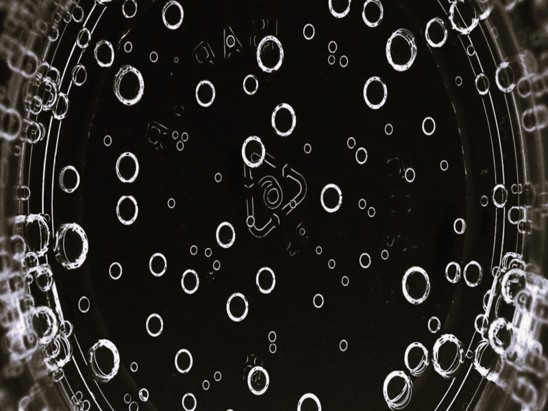 The Science behind Champagne Bubbles Brewminate: A Bold Blend of News ...