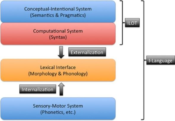 Language Evolution, Acquisition, Adaptation, and Change