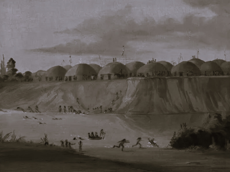 Arrows, Guns, Buffalo, and Trade in Native American History