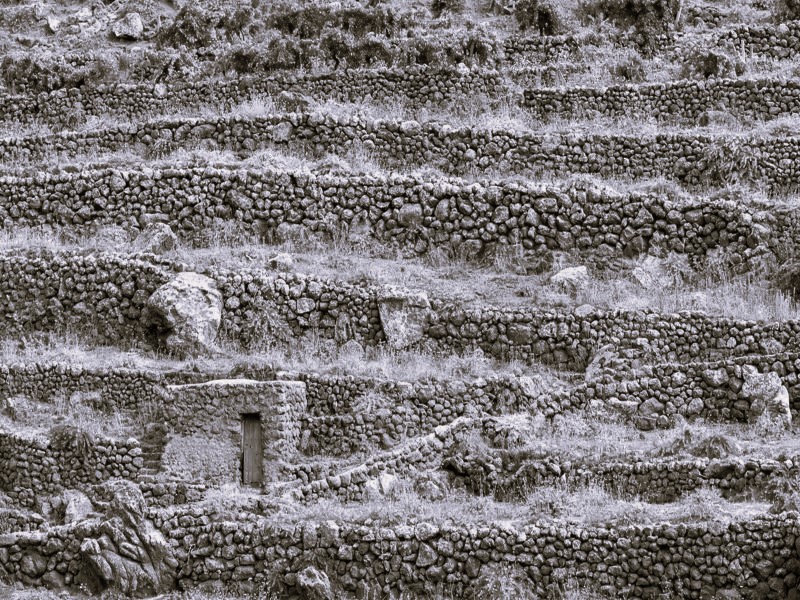 An Ancient Farming Technique as a Climate Solution Brewminate: A Bold ...